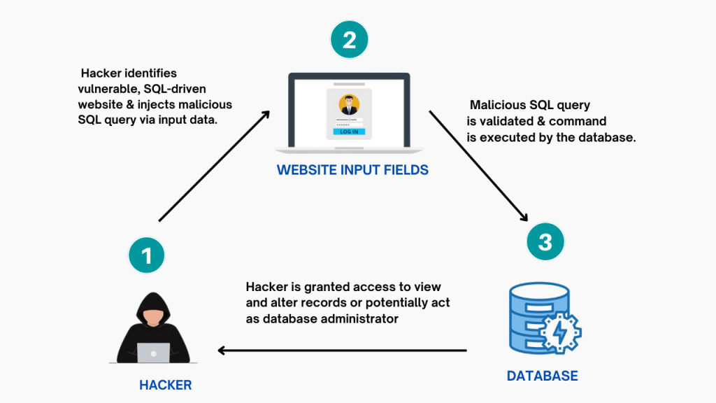 Advanced WordPress SQL Query Ultimate Guide For Optimization 2024